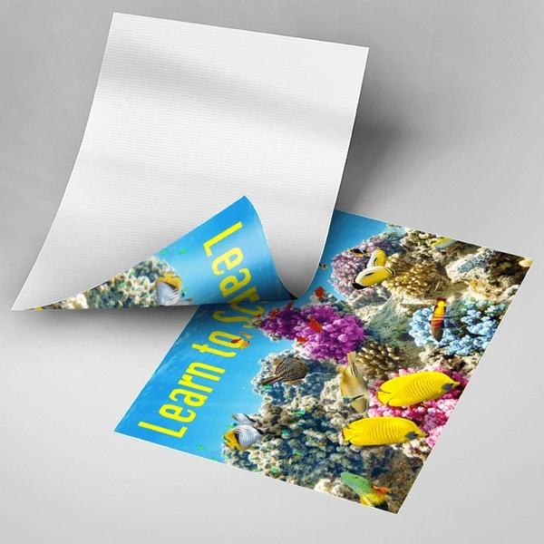 Waterproof Posters | Print-Out